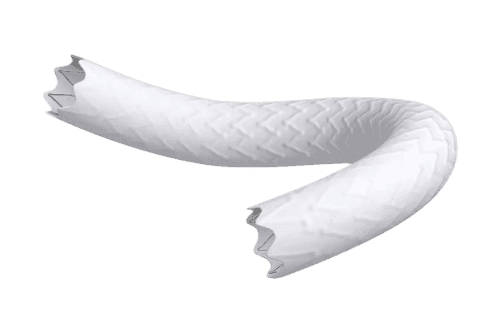 Bentley BeGraft Stent Graft System for Endovascular Use